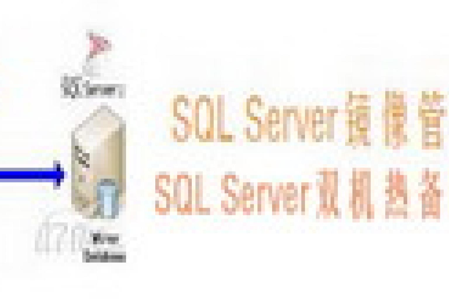 首页 | 叶色科技